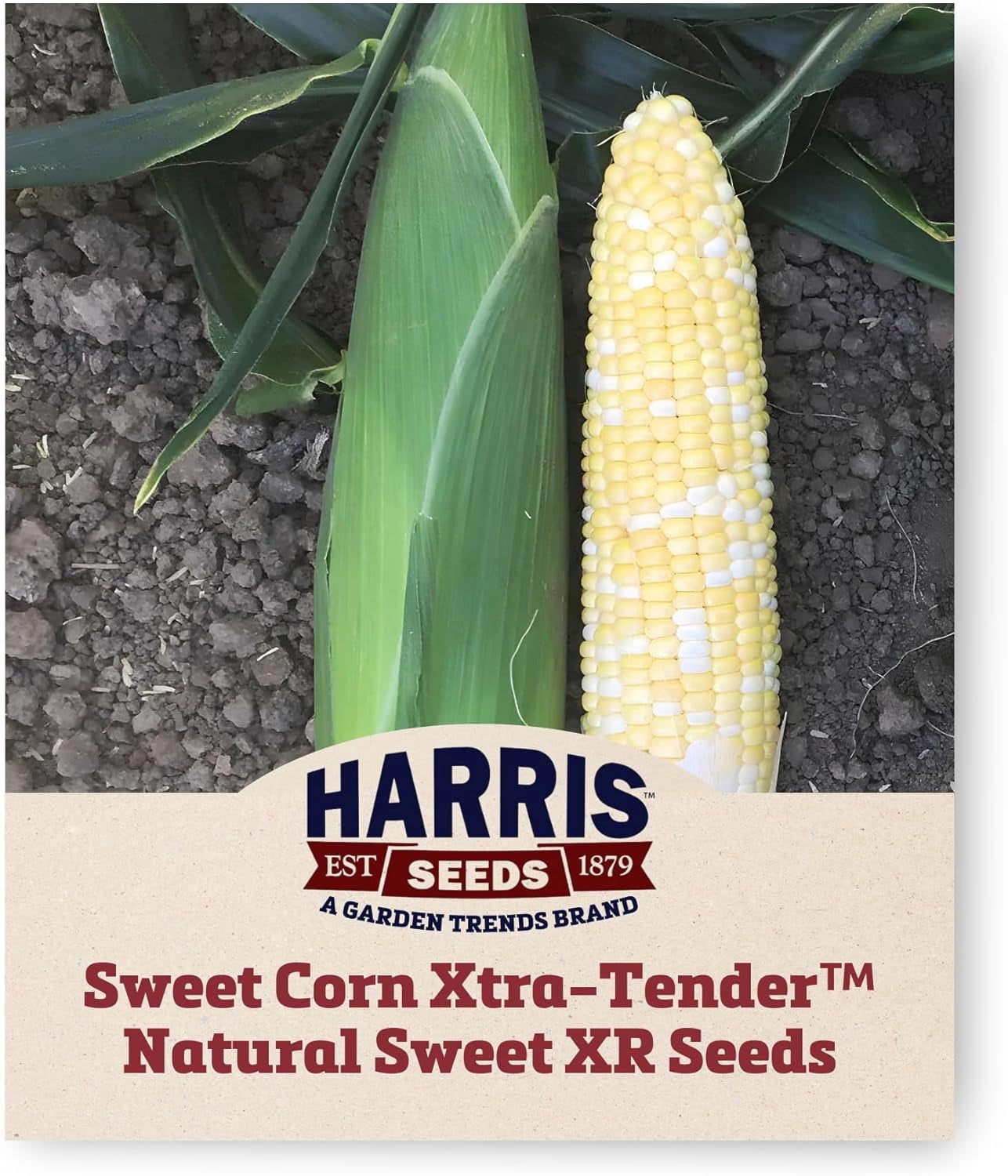 Harris Seeds - Organic Sweet Corn Seeds Xtra-Tender NAT Sweet Xr ...