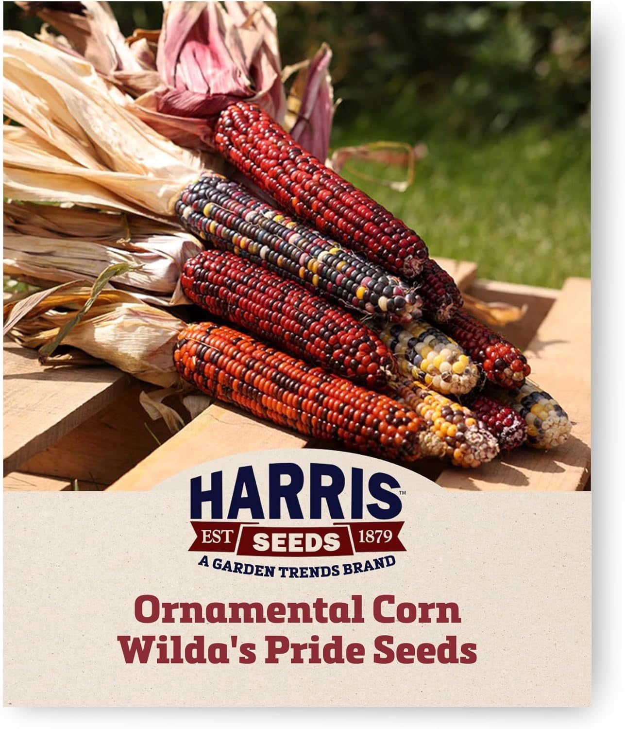 Harris Seeds Ornamental Corn Wildas Pride Non-GMO - 0.5 Lbs - Walmart.com