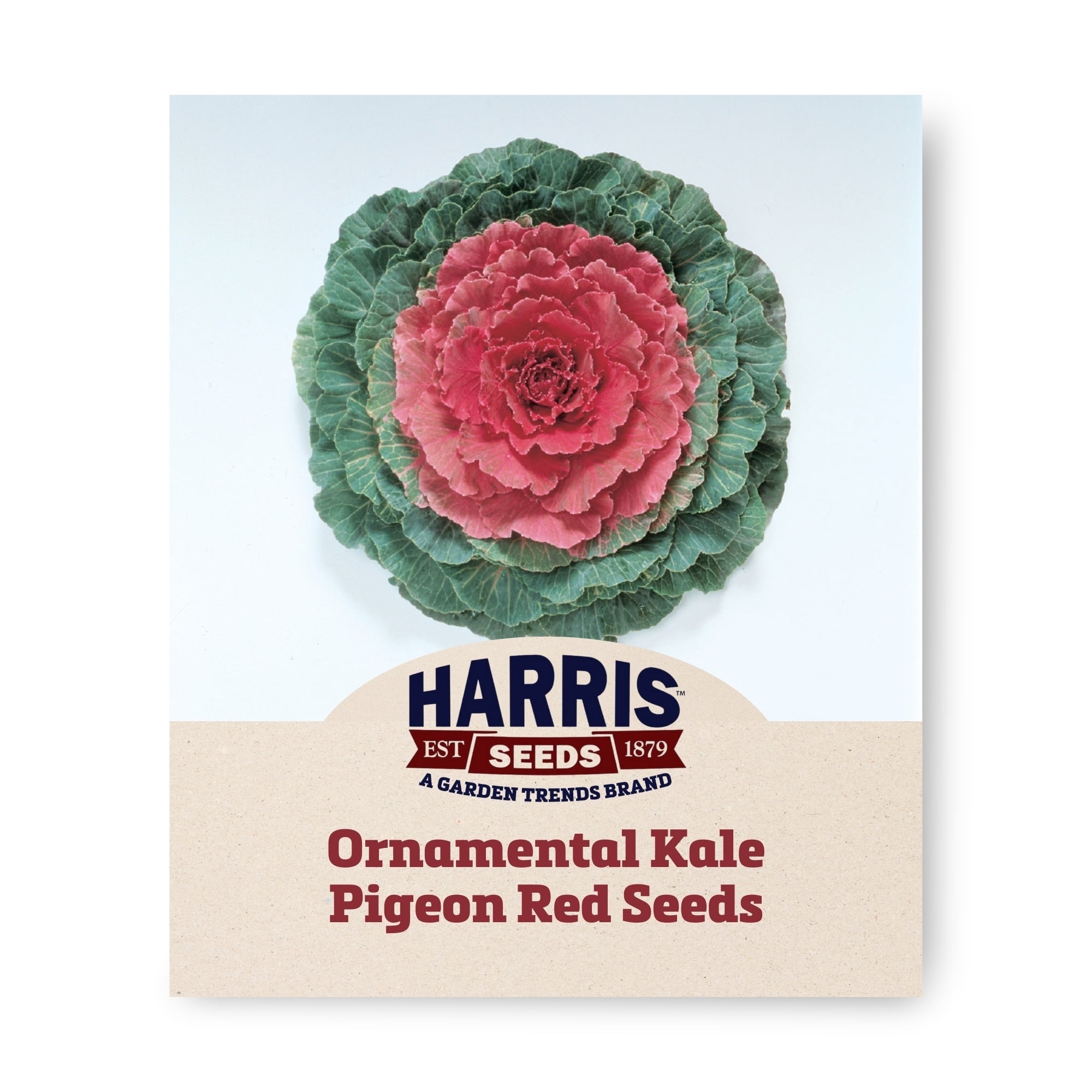 Harris Seeds - Ornamental Kale Pigeon Red F1 Seeds - Round, Wavy Leaves ...