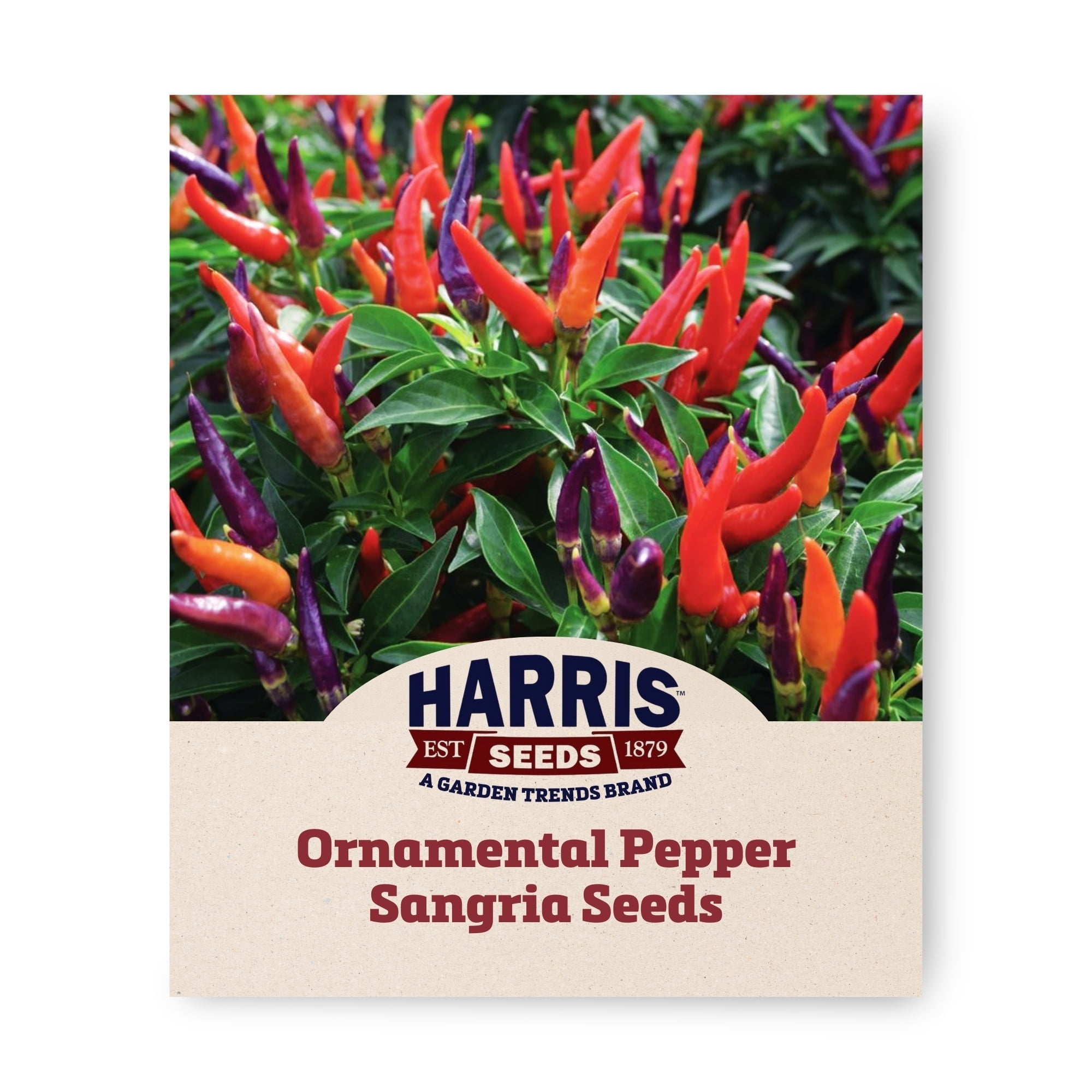 Harris Seeds Ornamental Pepper Sangria F1 Plant Seeds, Purple and Red ...