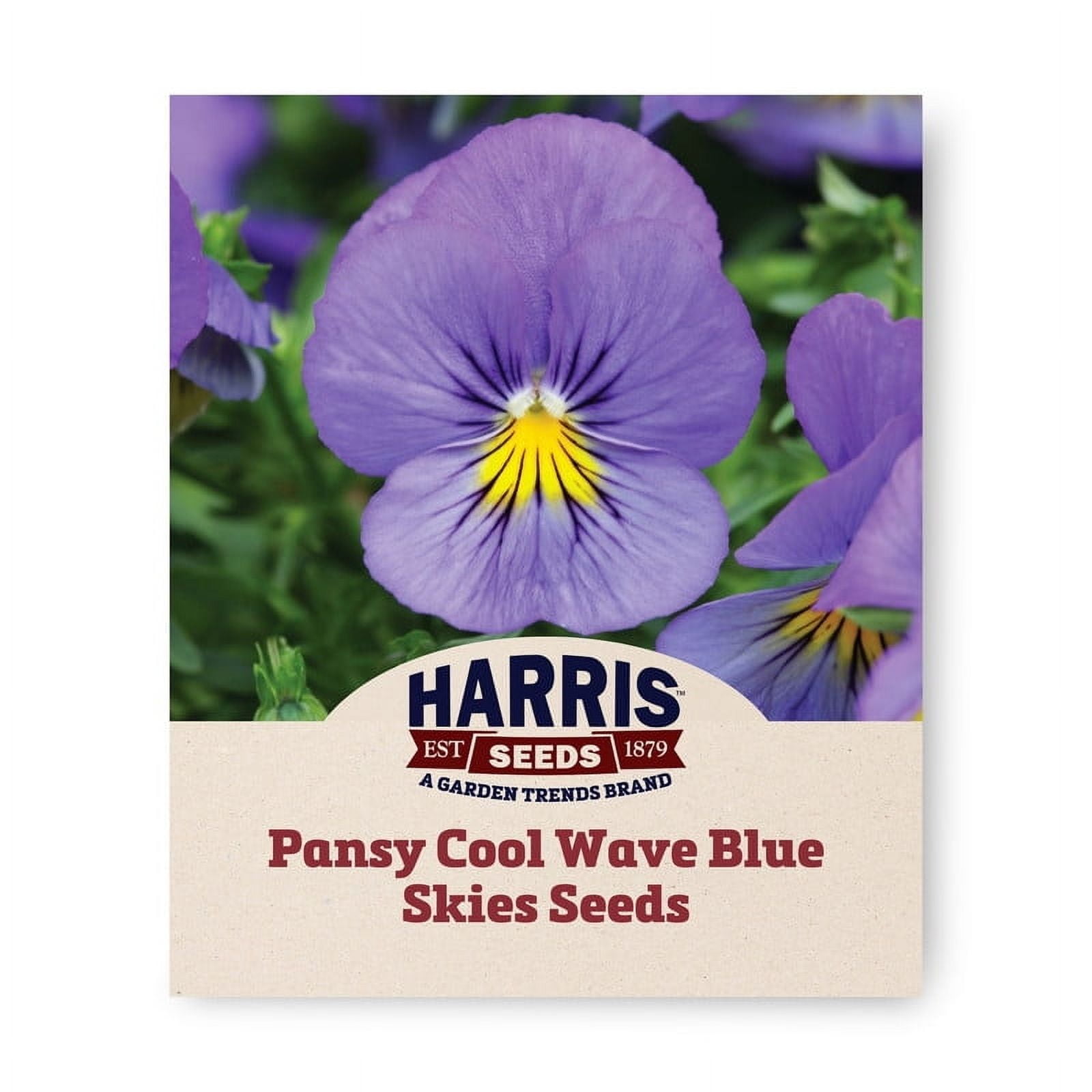 Harris Seeds - Pansy Cool Wave Blue Skies Seeds - Large Flowers - 100 ...