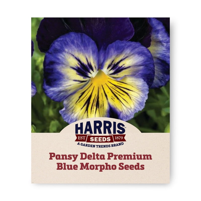 Harris Seeds - Pansy Delta Premium Blue Morpho F1 Seeds For Planting ...