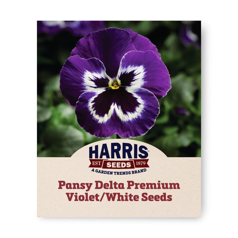 Harris Seeds - Pansy Delta Premium Violet/White F1 Seeds - Fast ...