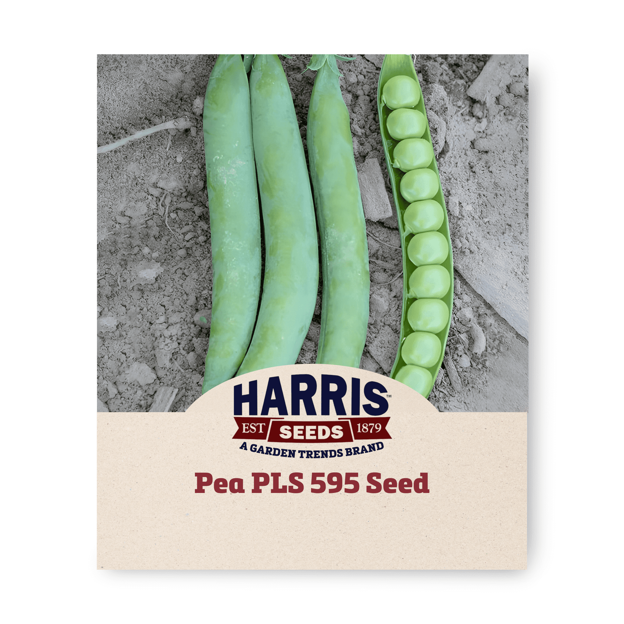 Harris Seeds Pea PLS 595 Organic Seeds for Planting Vegetable - 50 ...