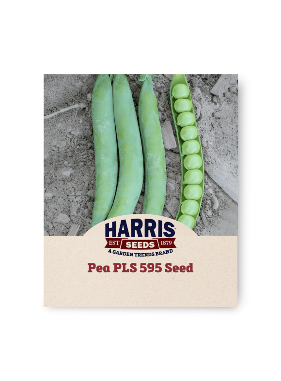 Pea Seeds in Seed Gardening - Walmart.com