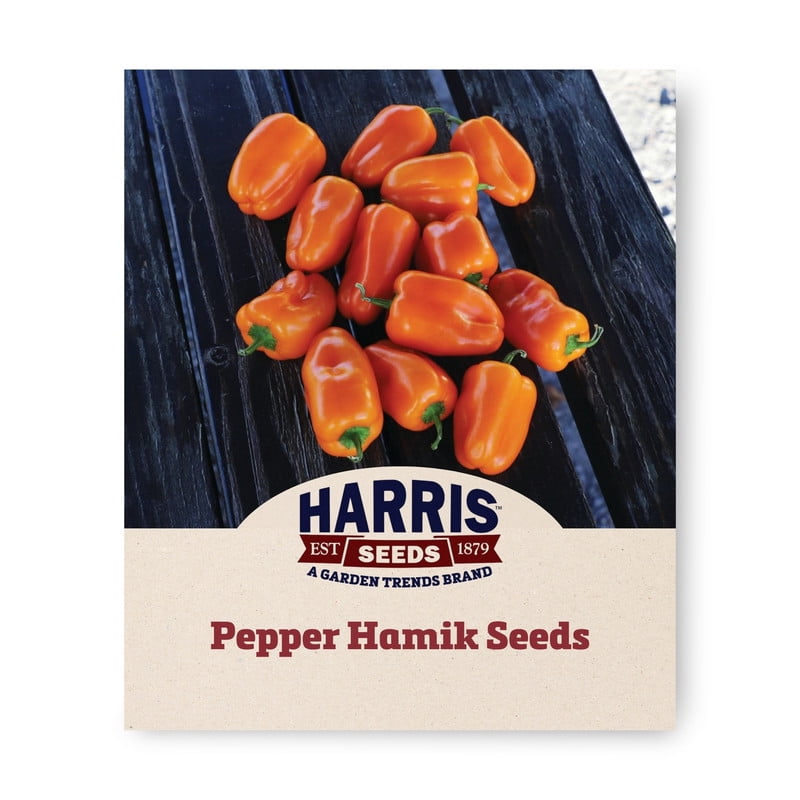 Hamik F1 Sweet Mini Orange Pepper - Exceptionally Sweet, Seedless - 250 Variety Seeds - Walmart.com