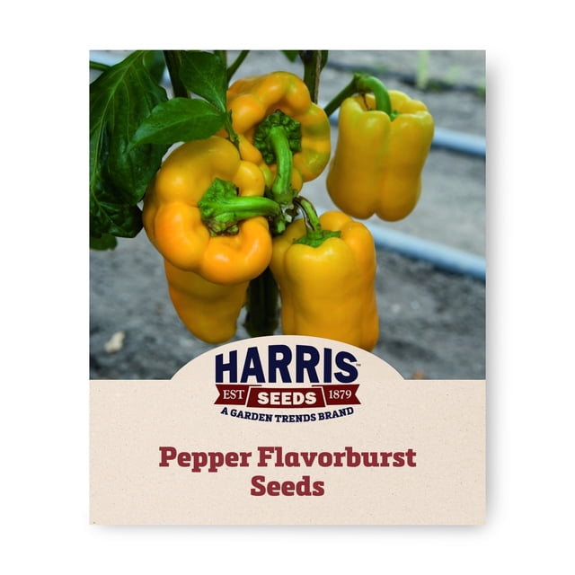 Harris Seeds - Pepper Seeds - Sweet Flavorburst Organic Variety - Non ...