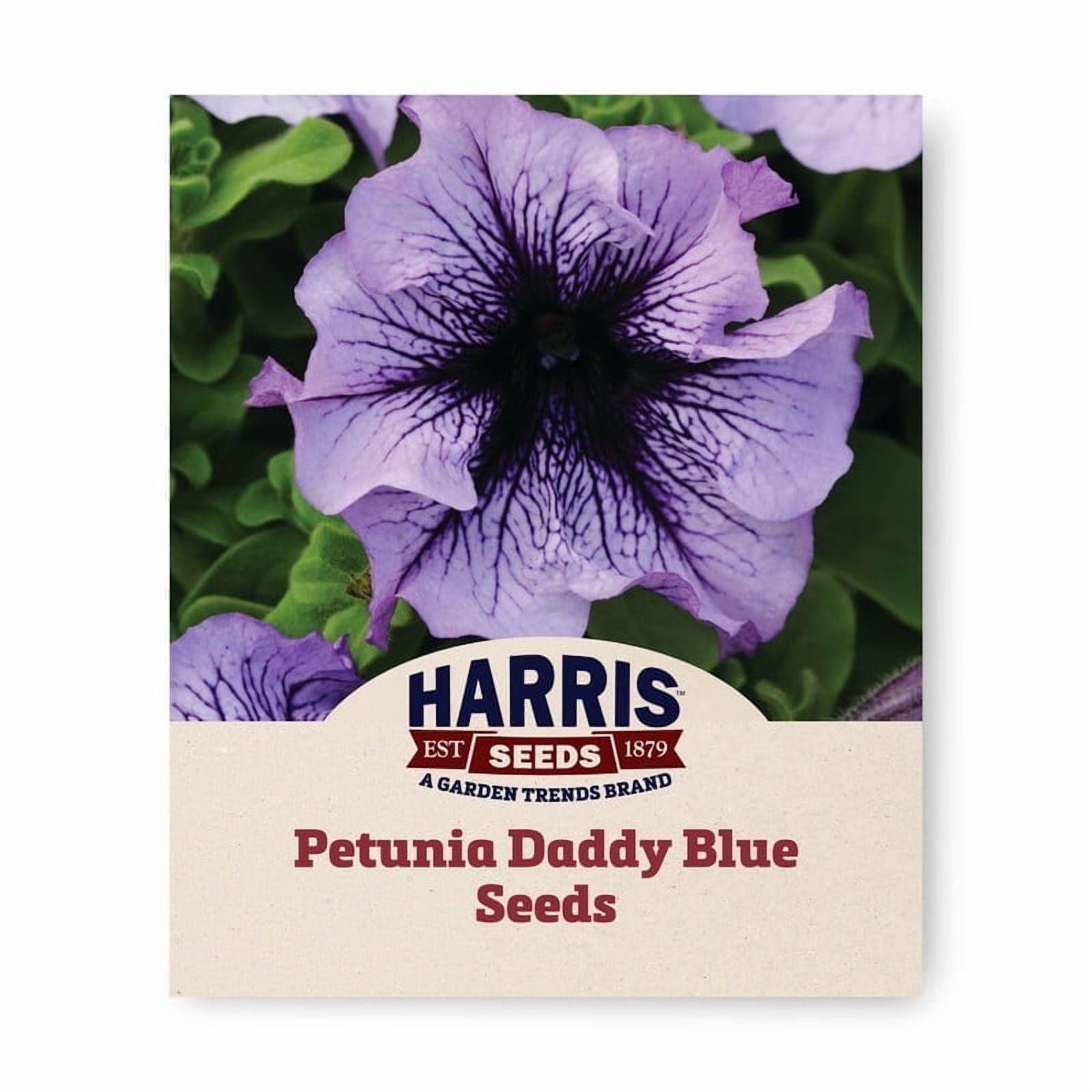 Harris Seeds - Petunia Daddy Blue F1 Seeds - Extra-Large Ruffled ...