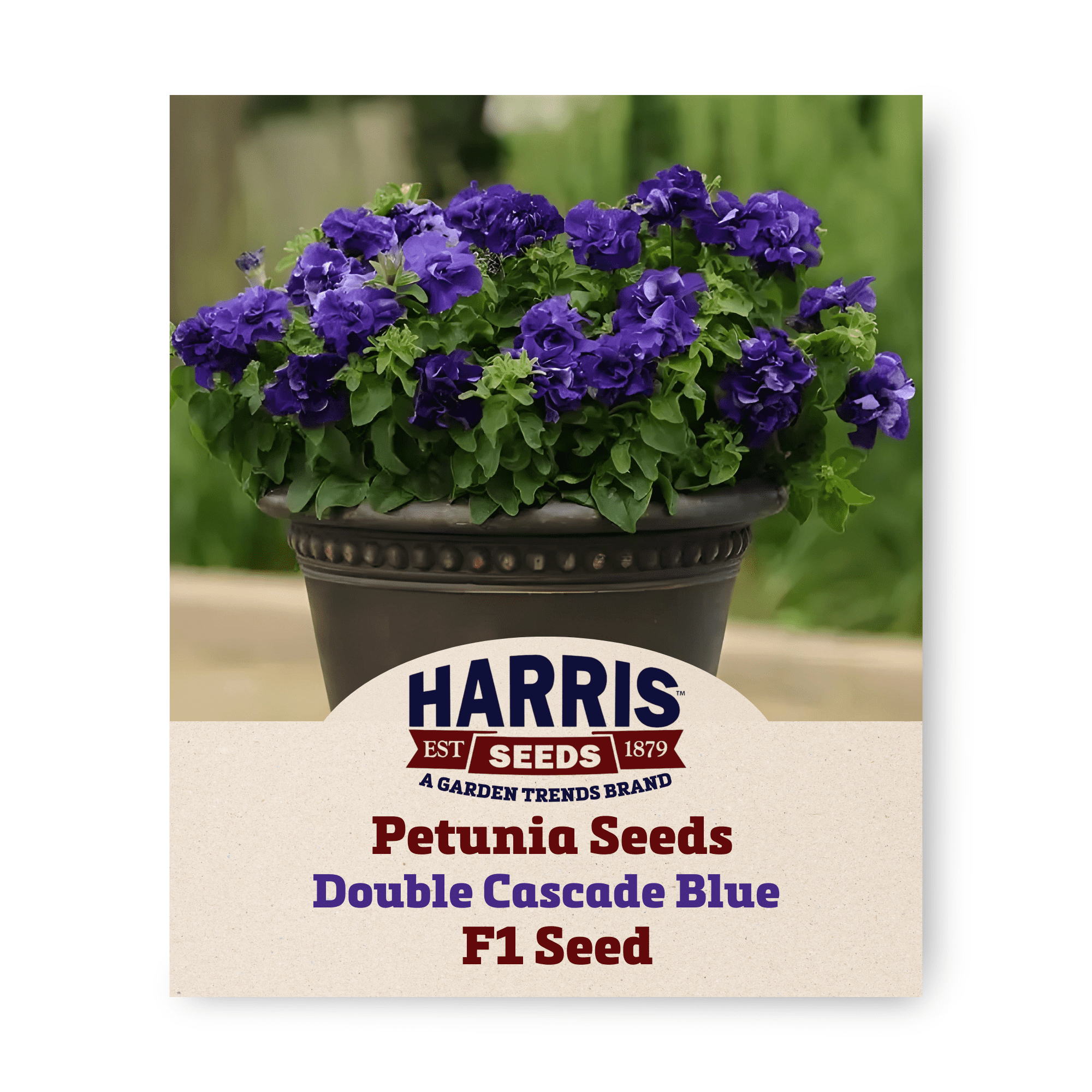 Harris Seeds Petunia Double Cascade Blue Seed F1 Annual Flower - 250 ...