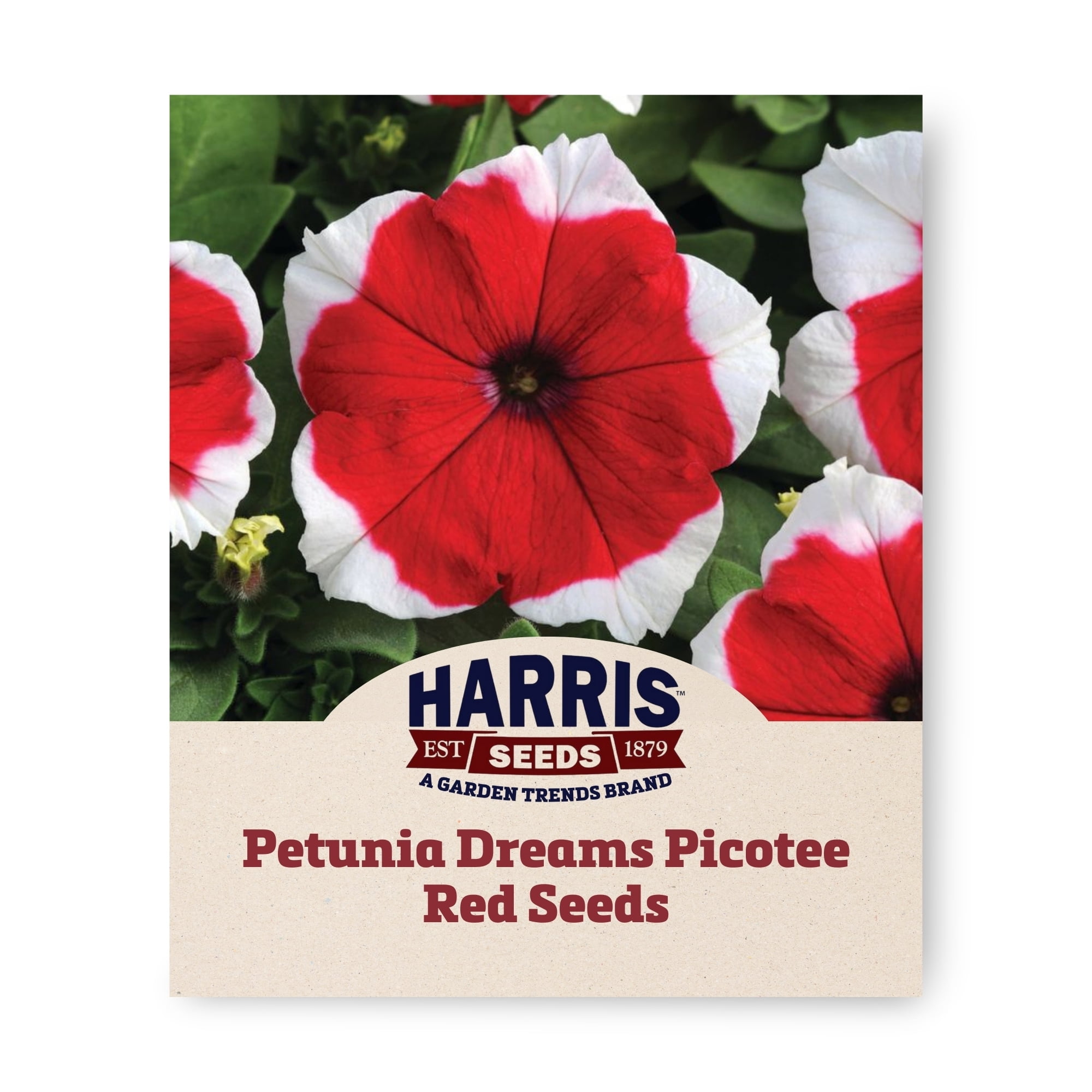 Harris Seeds - Petunia Dreams Picotee Red F1 Seeds â€“ Bright Red with ...