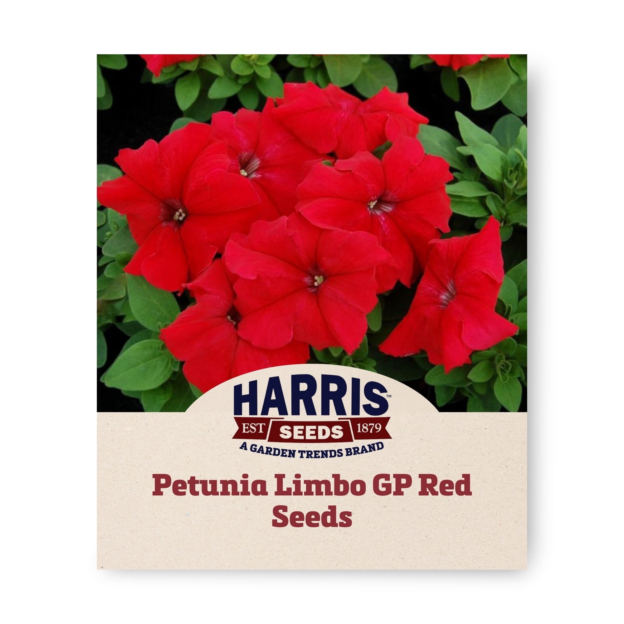 Harris Seeds - Petunia Limbo GP Red F1 Seeds - Large Flower - 500 Seeds ...