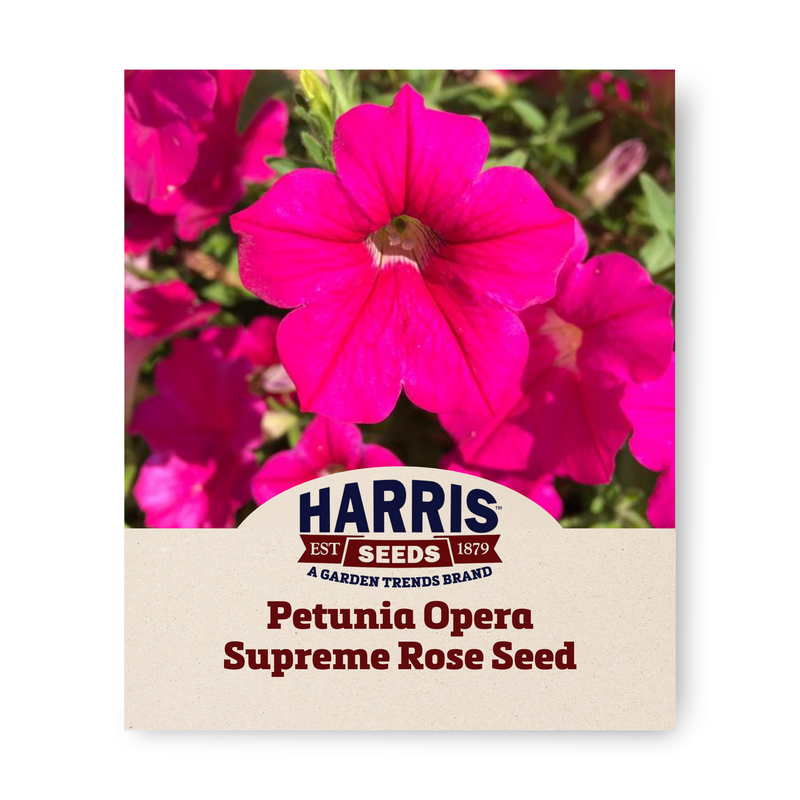 Harris Seeds - Petunia Seeds - F1 Opera Supreme Rose - 100 Pelleted ...
