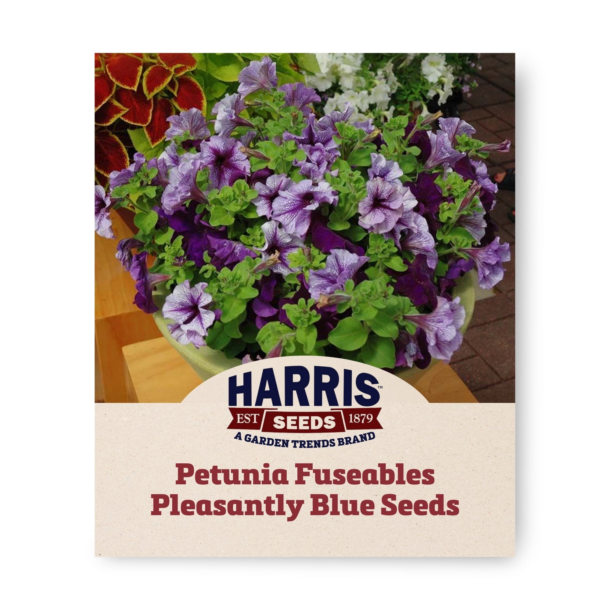 Harris Seeds - Petunia Seeds - Fuseable Pleasantly Blue Multi-Pelleted ...