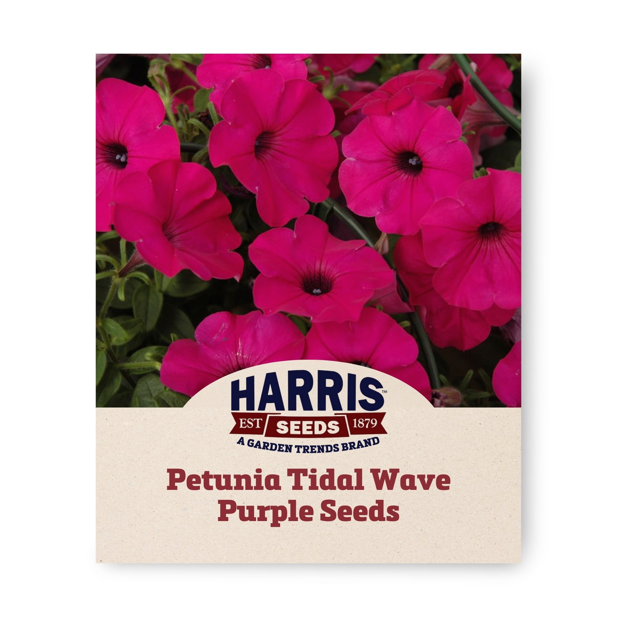Harris Seeds - Petunia Tidal Wave Purple F1 Seeds - Shrub-Like Shape ...