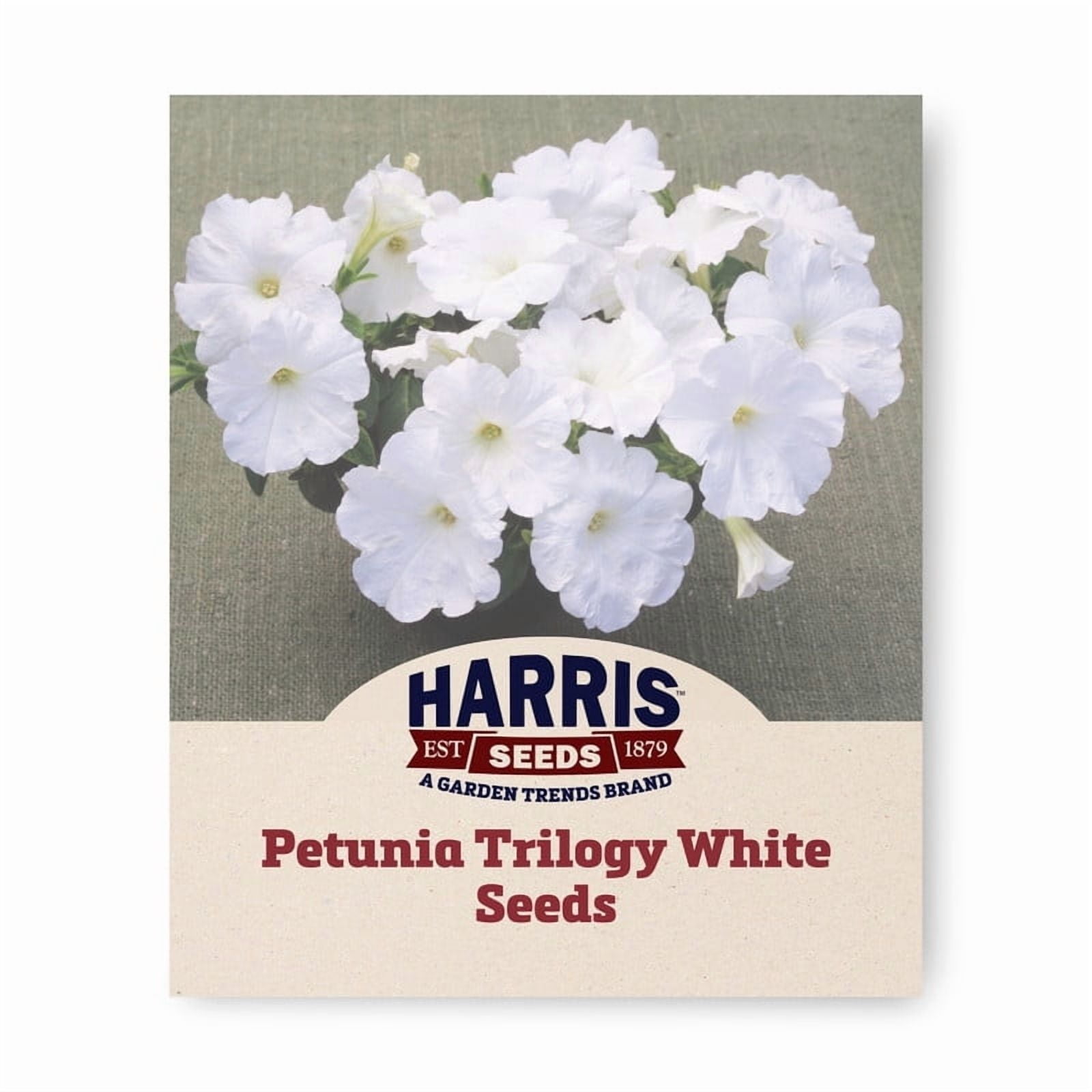 Harris Seeds - Petunia Trilogy White F1 Seeds - Outdoor Spring Flower ...