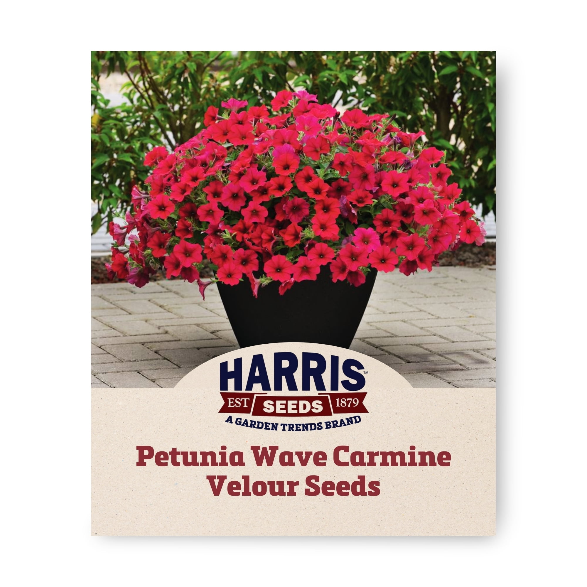 Harris Seeds - Petunia Wave Carmine Velour F1 Seeds - 25 Pelleted Seeds ...