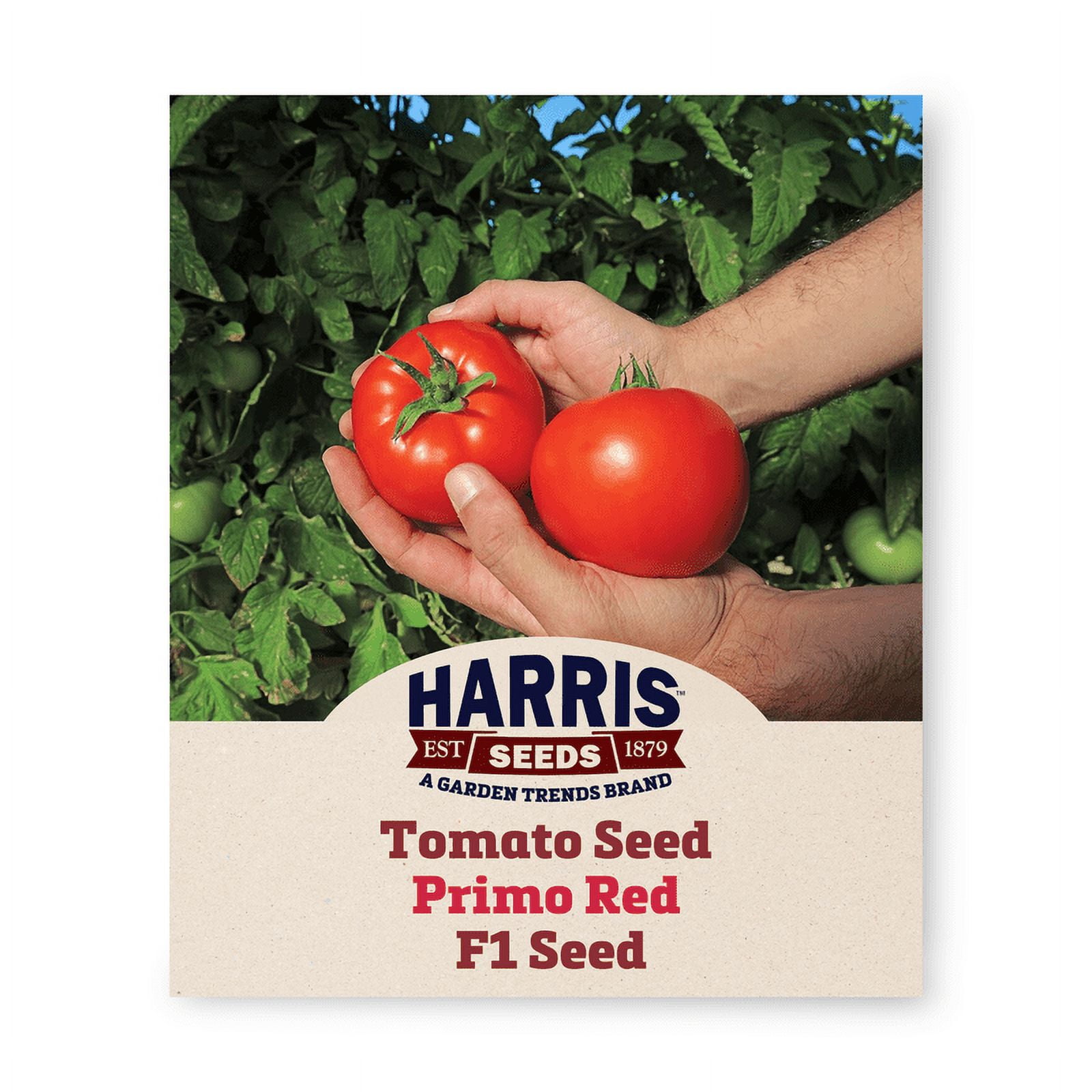 Harris Seeds Primo Red Tomato Seeds - Hybrid Non-GMO - Treated - 1000 ...