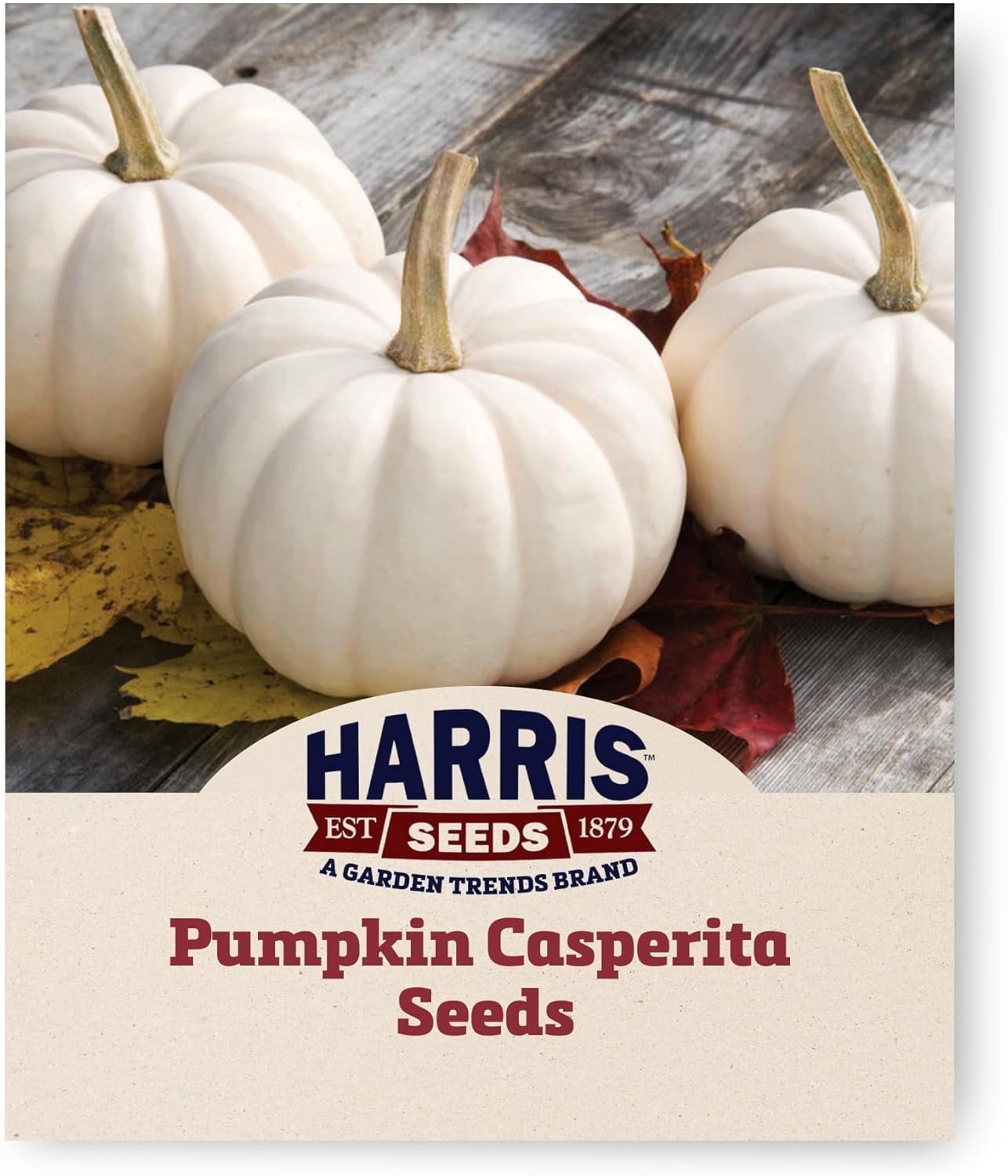 Harris Seeds Treated Pumpkin Casperita F1, Mini White Pumpkin & Winter ...