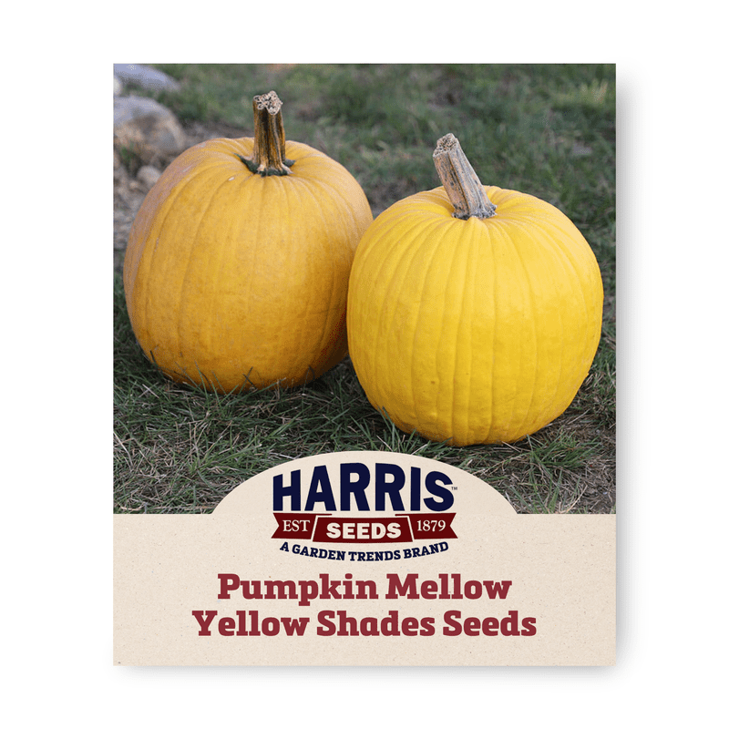 Harris Seeds - Pumpkin Mellow Yellow Non-GMO Vegetable - FarMore ...