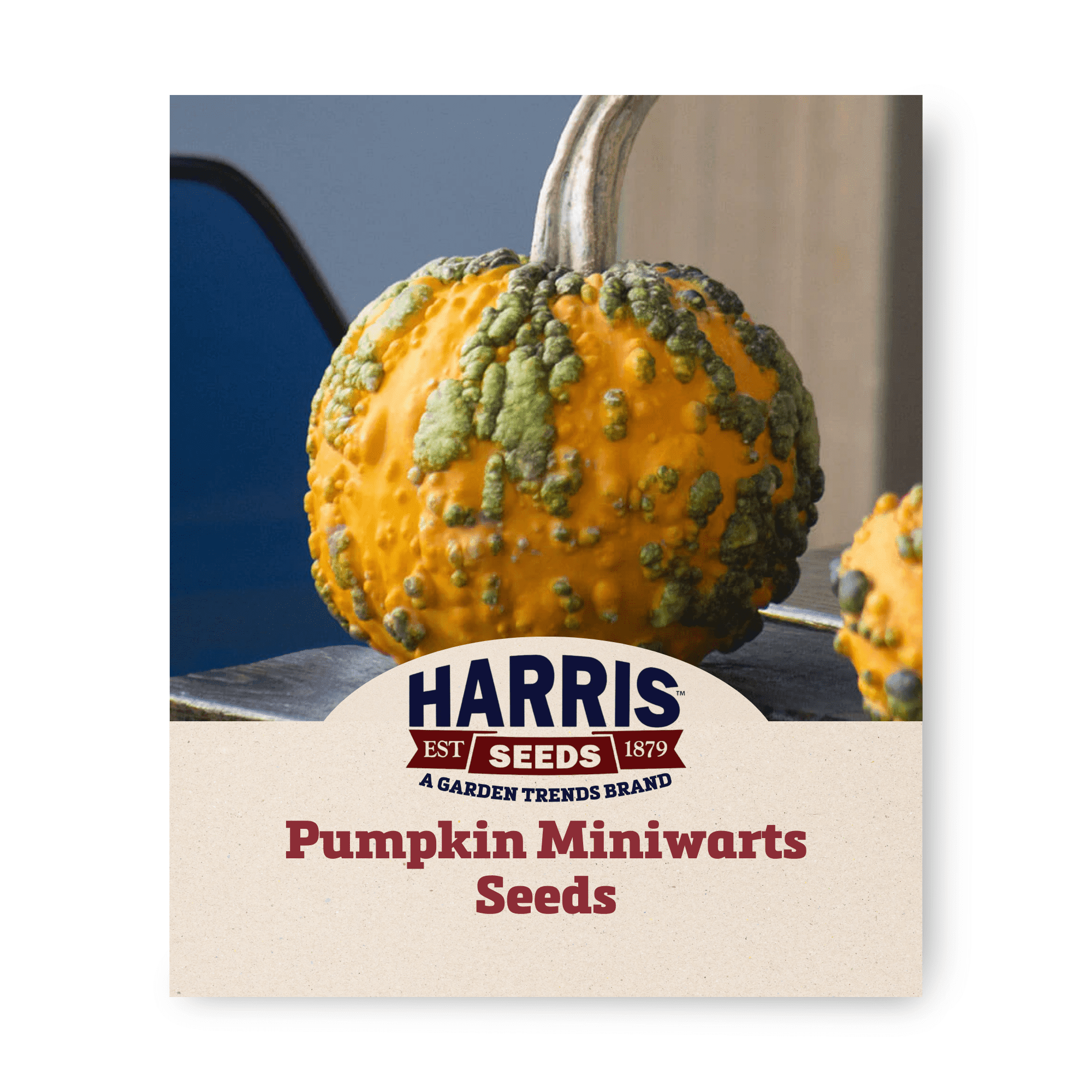 Harris Seeds - Pumpkin Miniwarts Non-GMO Vegetable - FarMore Treated ...