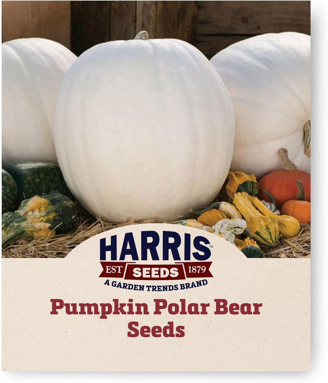 Harris Seeds - Pumpkin Polar Bear F1 Non-GMO Vegetable - 25 Seeds ...