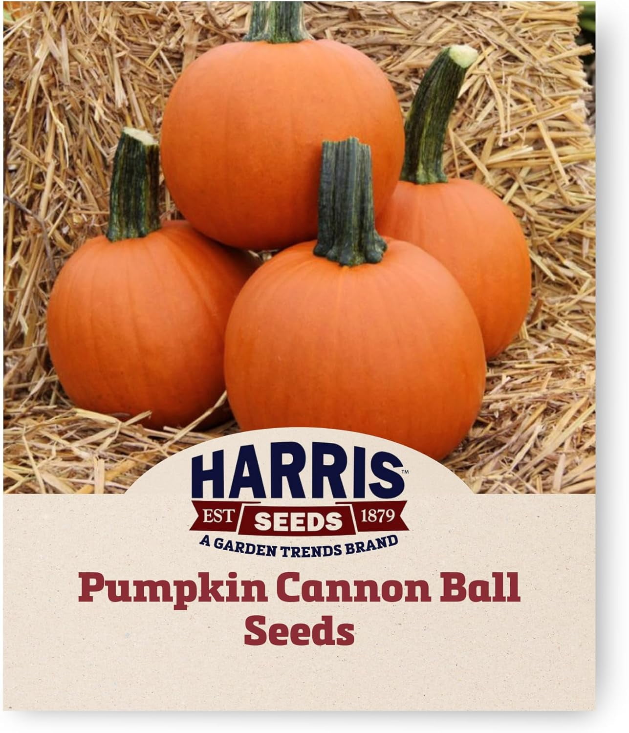 Harris Seeds - Pumpkin Seeds - Treated Cannon Ball Non-GMO Vegetable - 250 Seeds - Walmart.com