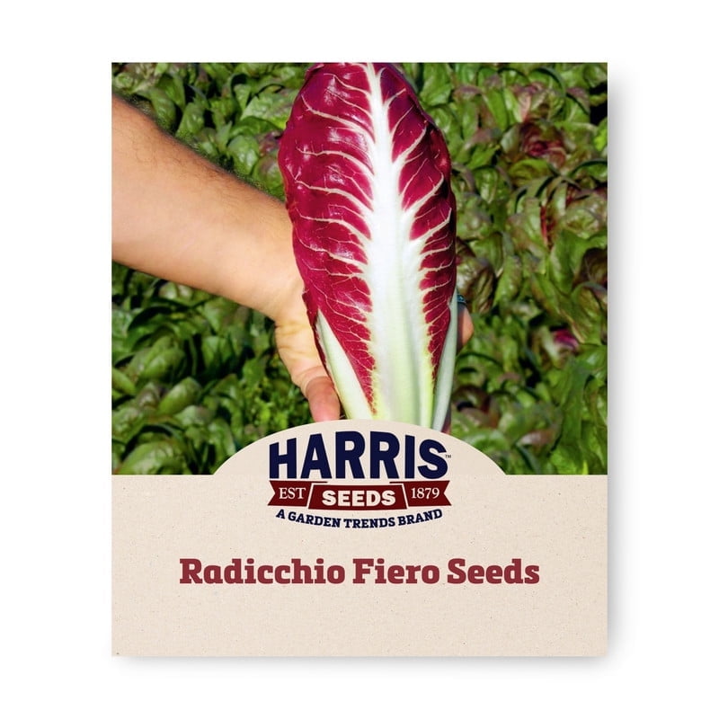Harris Seeds - Radicchio Seeds - Fiero Organic Variety - Purple And ...