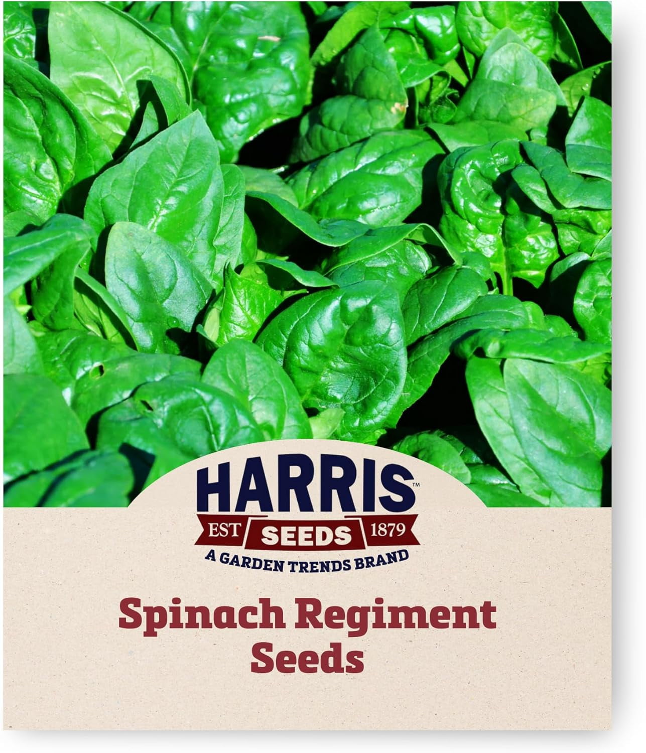 Harris Seeds - Regiment Spinach Seeds Organic Non-GMO, 250 Seeds ...