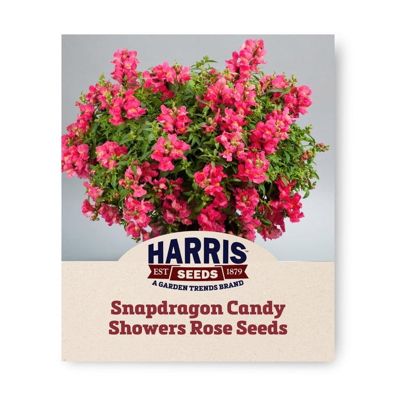 Snapdragon Candy Showers Rose Trailing F1 Seed Planting - Walmart.com