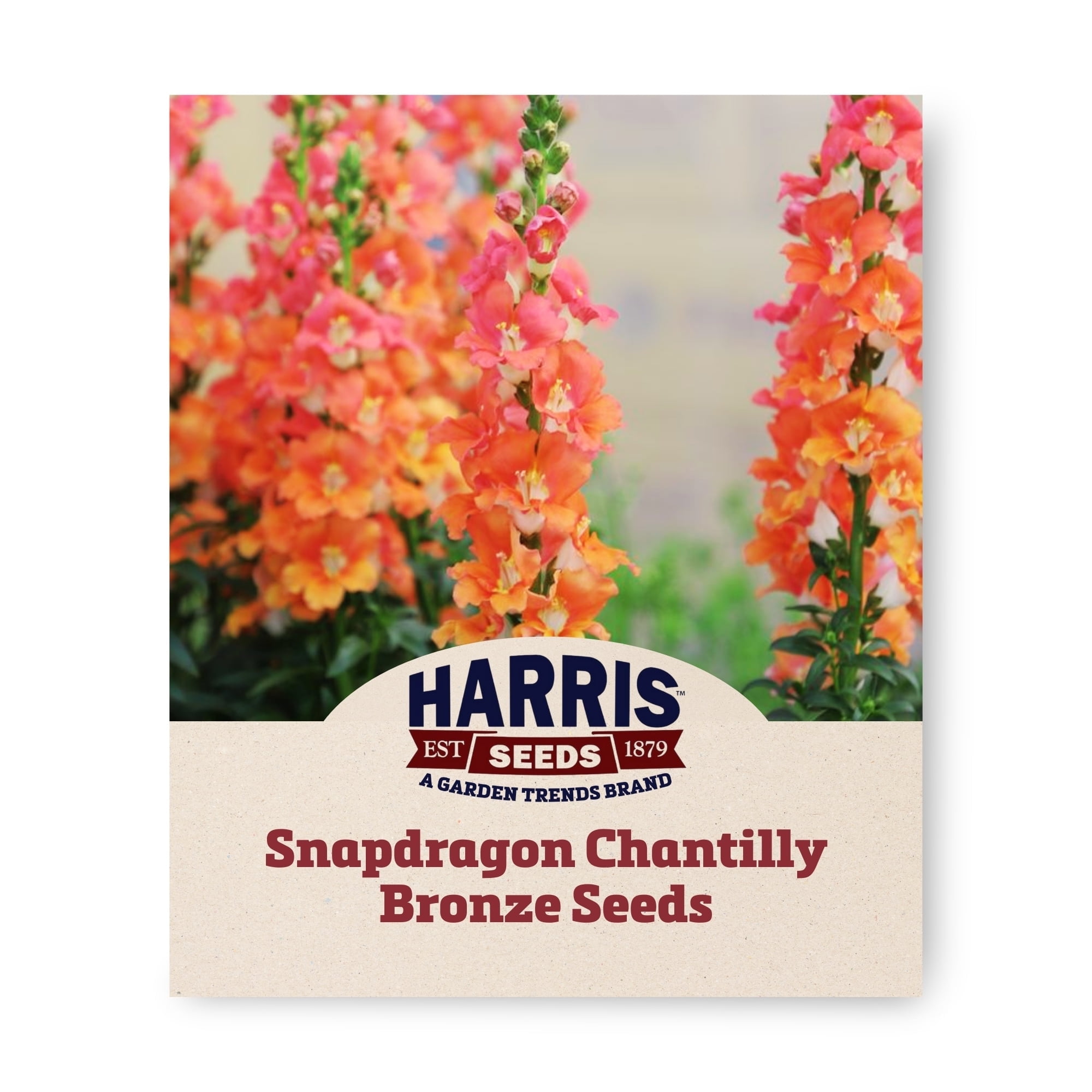 Harris Seeds - Snapdragon Chantilly Bronze F1 Flower Seeds - 500 Seeds ...