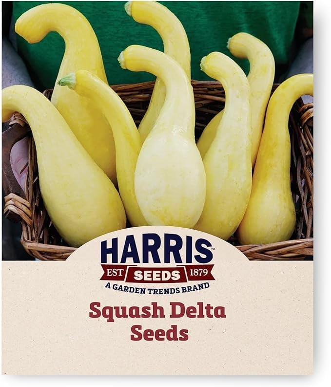 Harris Seeds - Squash Delta Seeds F1 Treated Variety Bright Yellow ...