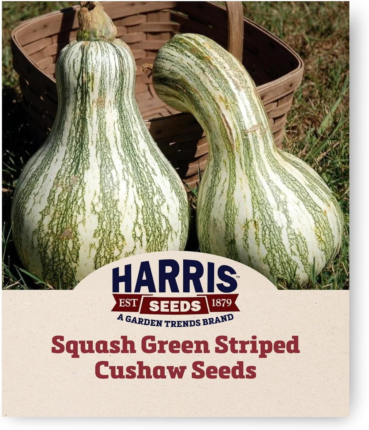 Harris Seeds - Squash Seeds Green Striped Cushaw Variety Yellow - 1 Oz ...