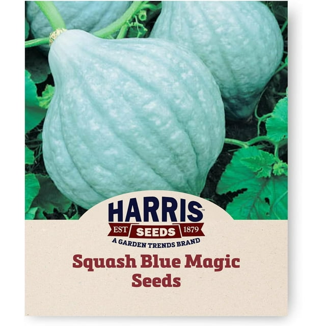 Harris Seeds - Squash Seeds - Red Warty Thing Variety Decoration ...