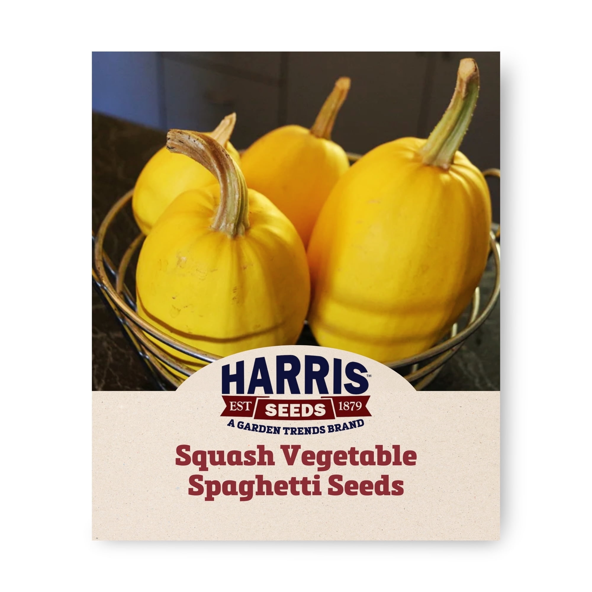 Harris Seeds - Treated Squash Seeds - Vegetable Spaghetti Variety - Non ...