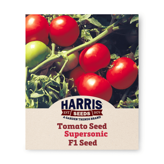 Harris Seeds Supersonic F1 Tomato Seeds for Planting - Treated - 500 ...