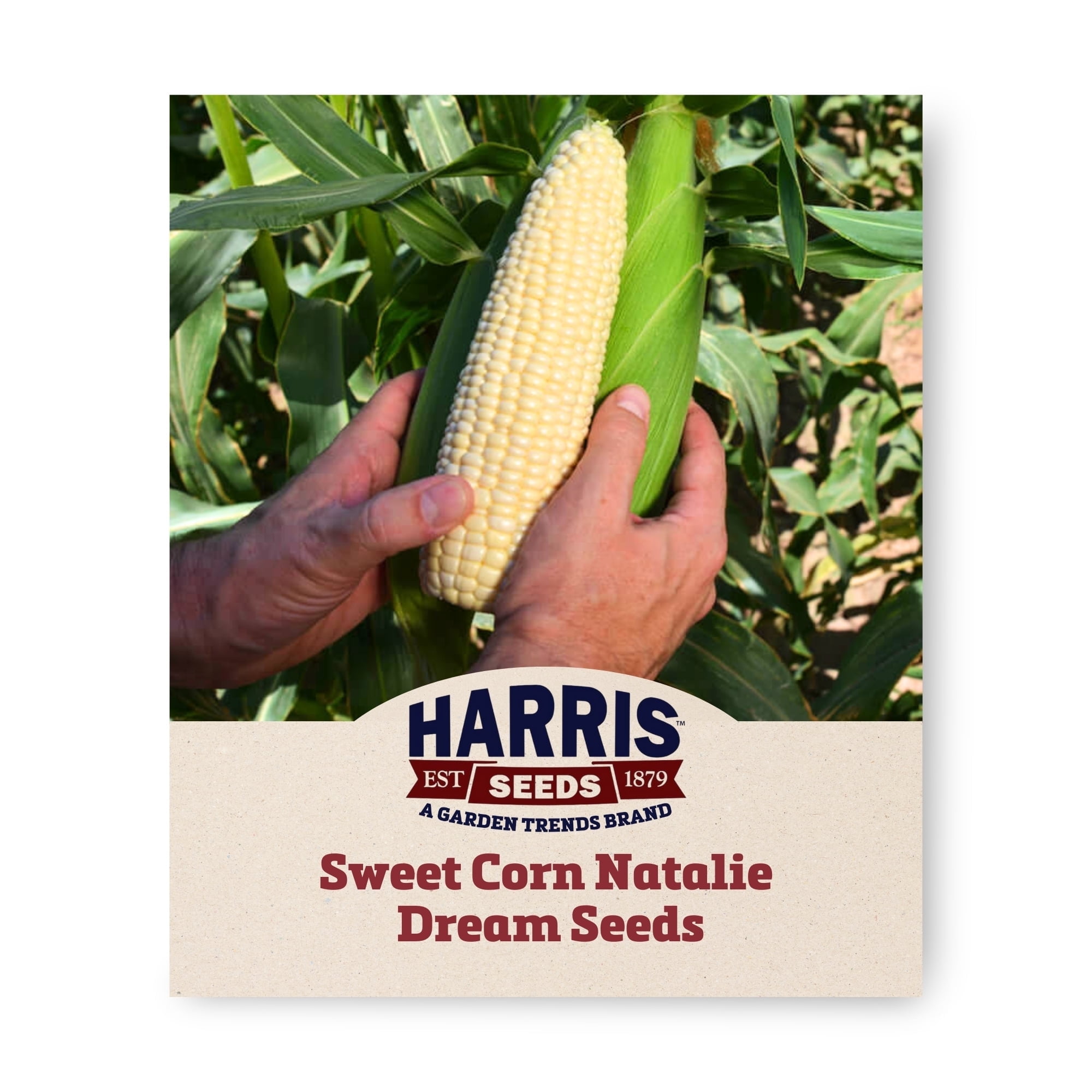 Harris Seeds - Sweet Corn Natalie F1 Seeds - Bright White Kernel - 1,000 Seeds - Walmart.com