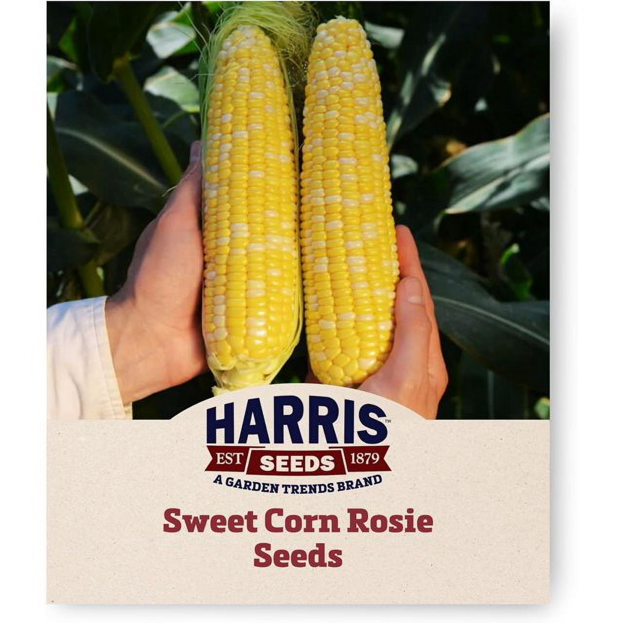 Harris Seeds - Sweet Corn Rosie Variety Easy Maturing Biocolor Kernels ...