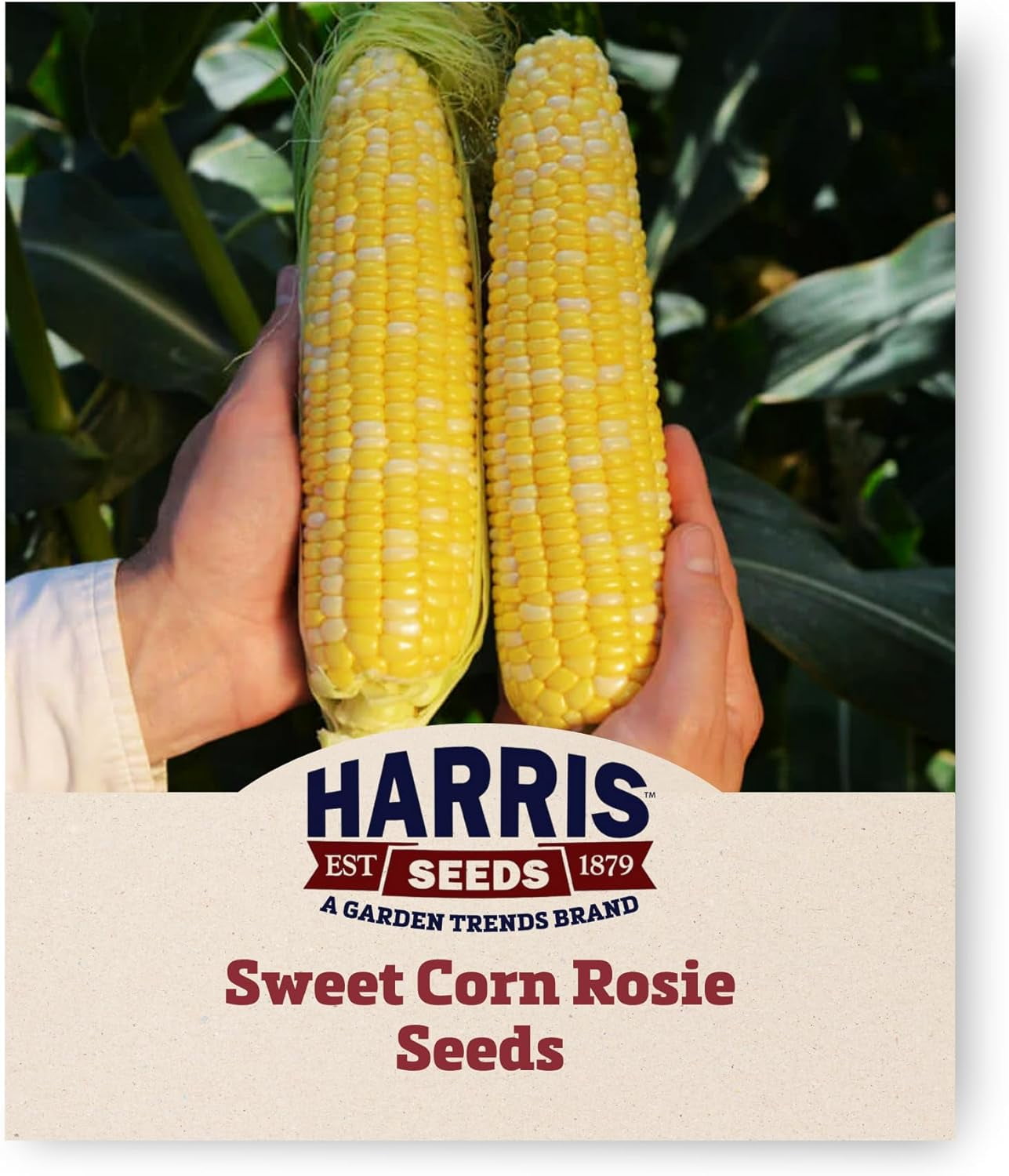 Harris Seeds - Sweet Corn Rosie Variety Easy Maturing Biocolor Kernels ...