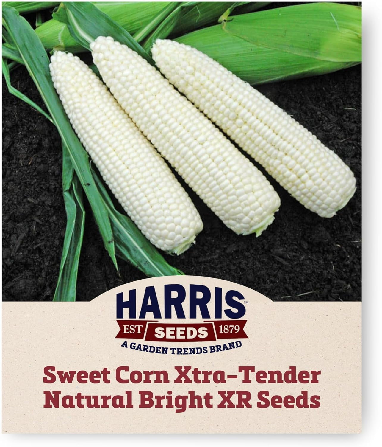 Harris Seeds - Sweet Corn Seeds Xtra-Tender Nat Bright Xr Supersweet ...