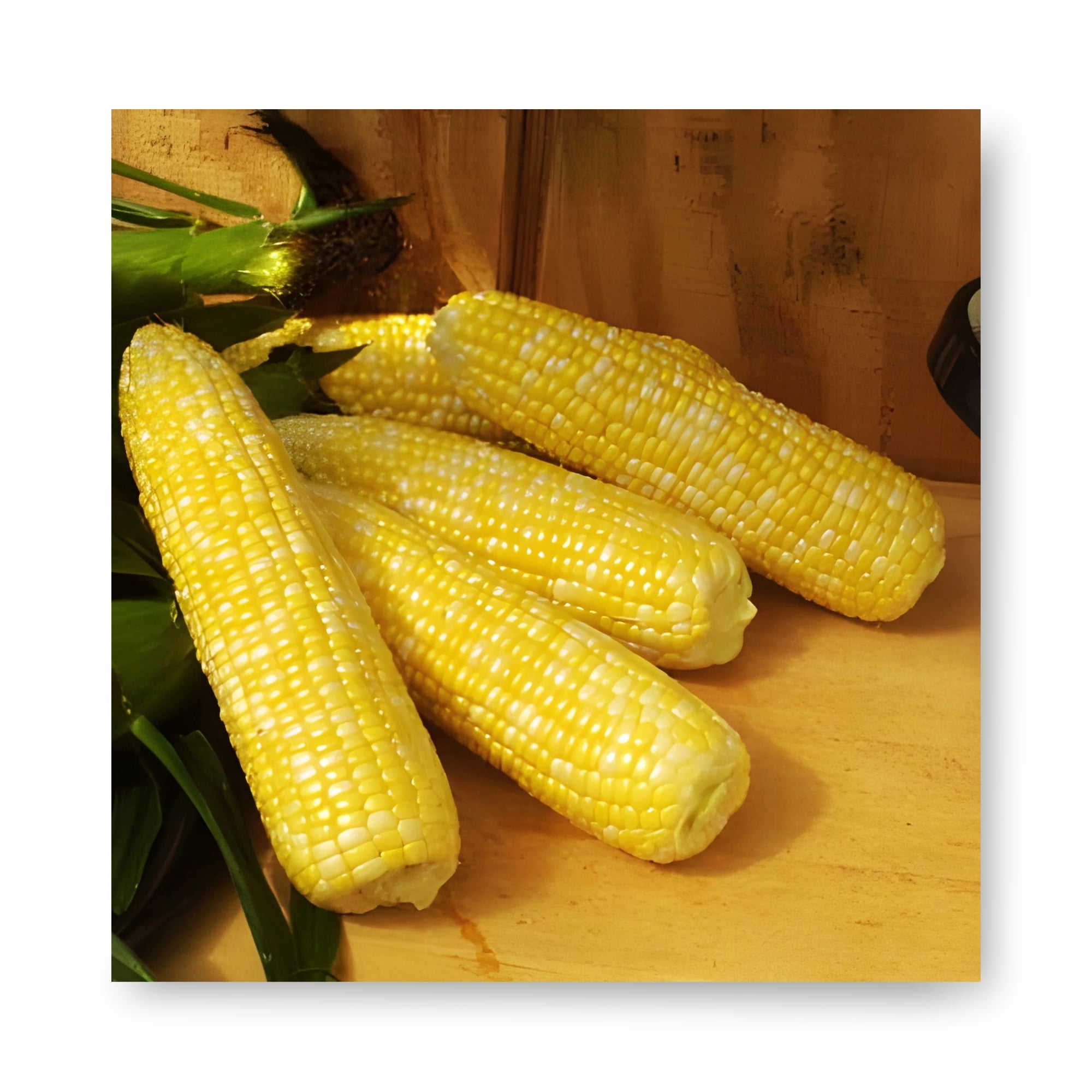 Harris Seeds Xtra-Tender 274A F1 Sweet Corn, Bicolor Corn with Yellow ...