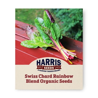 Harris Seeds - Treated Onion Red Bunching F1 Seed - NON-GMO - 250 Seeds ...