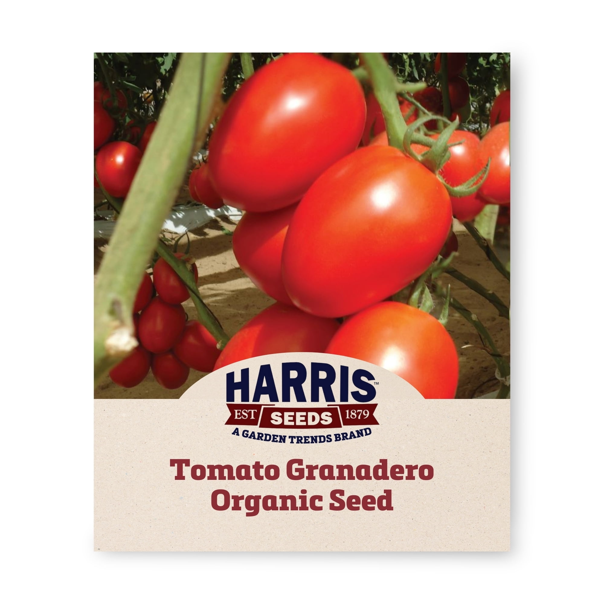 Harris Seeds - Tomato Seeds - Granadero Organic Variety - Blocky, Meaty ...