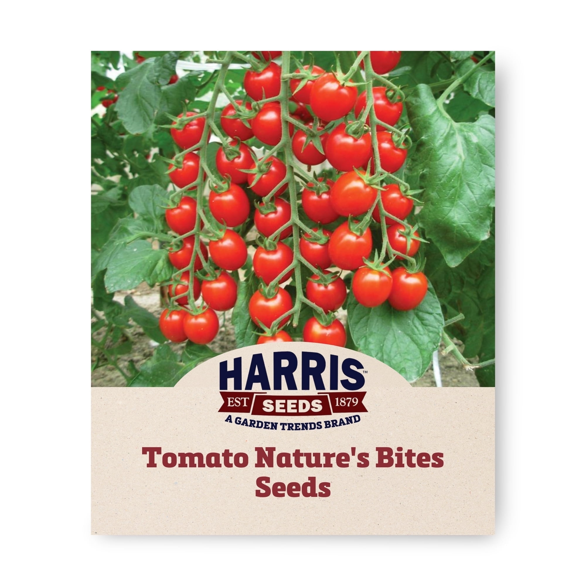 Harris Seeds - Treated Tomato Seeds - Natures Bites Variety - Medium ...