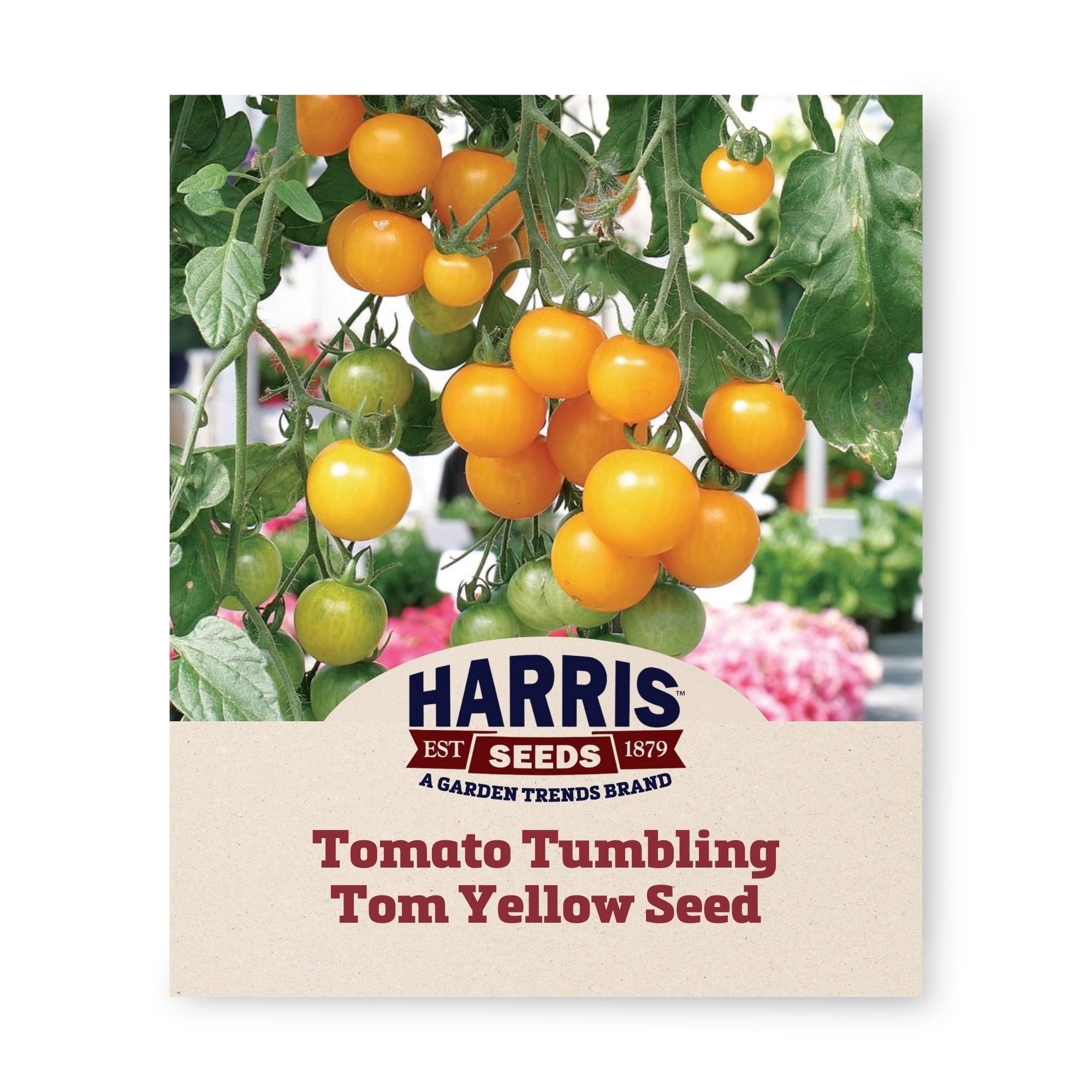 Harris Seeds - Tomato Seeds - Tumbling Tom Yellow Unt Variety - 50 ...