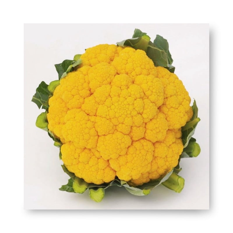 Harris Seeds Clementine F1 Cauliflower, Orange Curd Variety for Garden ...
