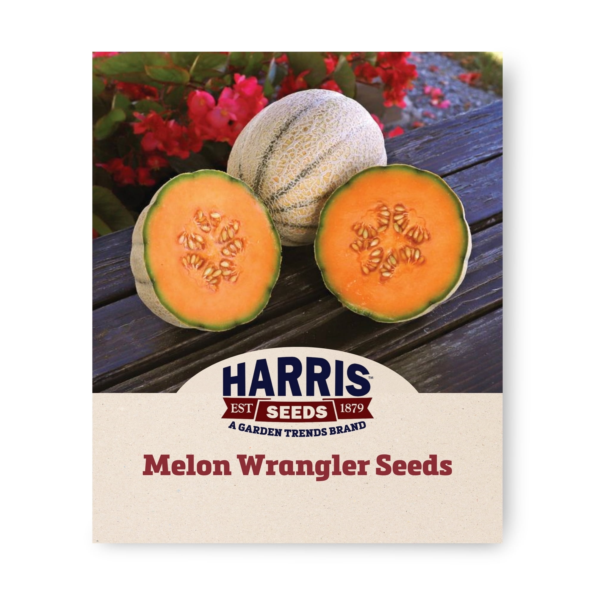 Harris Seeds - Treated Melon Wrangler F1 Seeds - Sweet - Thick Flesh ...