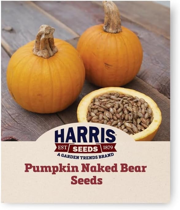 Harris Seeds -Treated Pumpkin Naked Bear F1 Non-GMO Vegetable - 250 ...