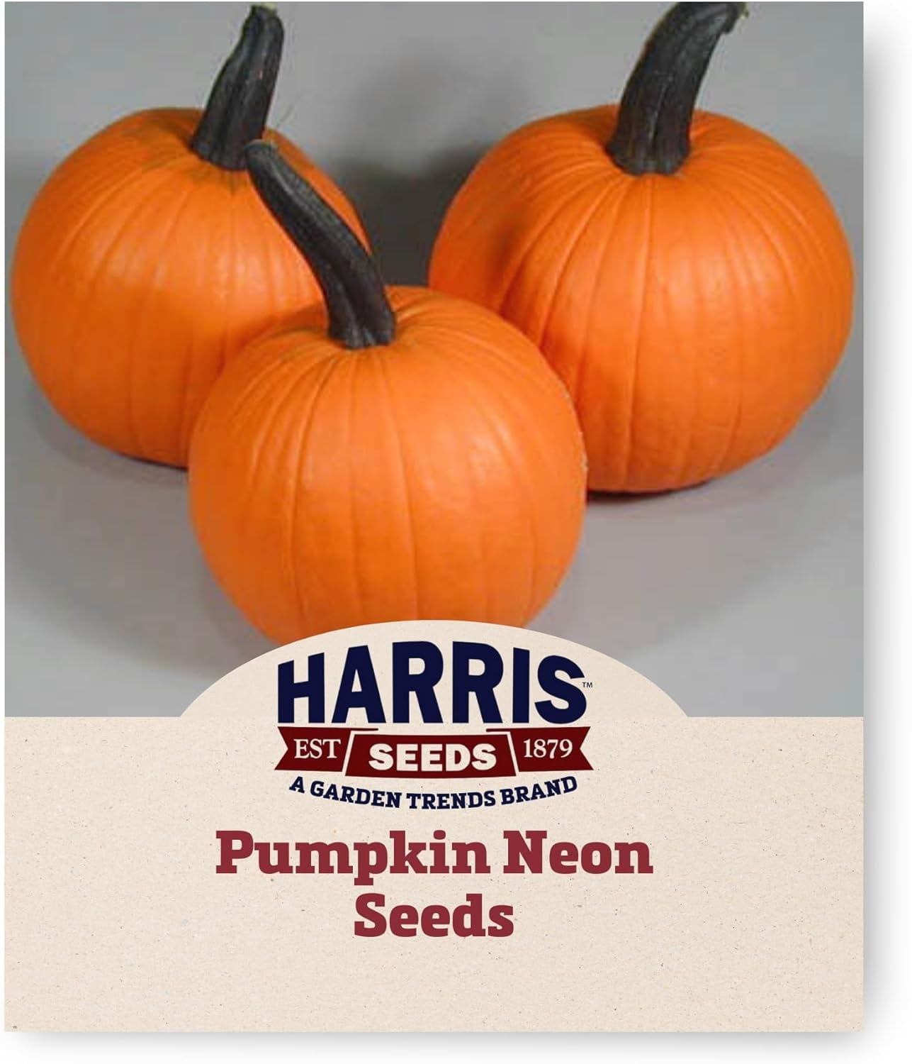 Harris Seeds - Treated Pumpkin Neon F1 Fast Germination Orange Fruit ...