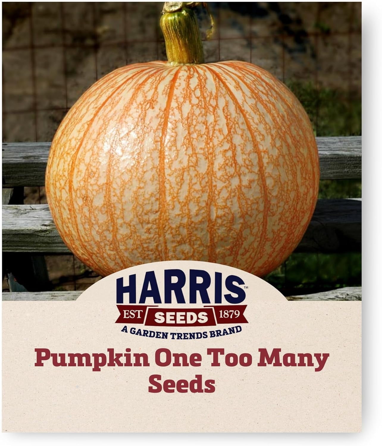 Harris Seeds - Treated Pumpkin One Too Many F1 Non-GMO Vegetable - 1000 ...