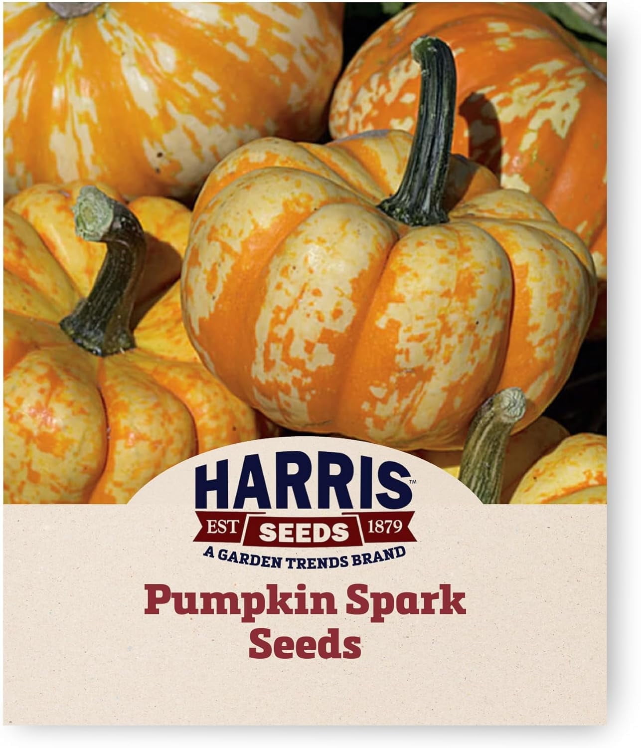 Harris Seeds - Treated Pumpkin Spark Non-GMO Vegetable - 1000 Seeds ...